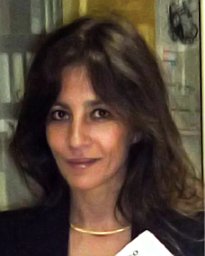 Application of the Foreshock Traffic Light System to the 2019 ...