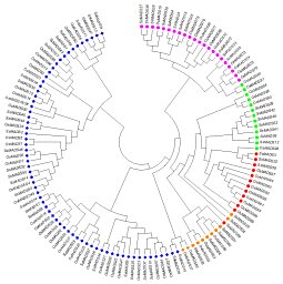 PMAT: an efficient plant mitogenome assembly toolkit using low coverage ...