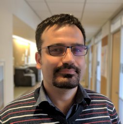 Thermal Destabilization of Collagen Matrix Hierarchical Structure by ...