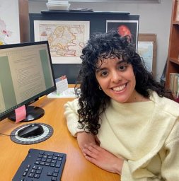 Definition of characteristic subsidence parameters. A case study in the ...