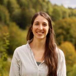 Water Structures Reveal Local Hydrophobicity on the In2O3(111) Surface ...