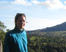 Mineral element stocks in the Yedoma domain: a first assessment in ice ...