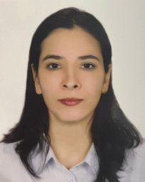 Entrepreneurship in Complex Economic Systems: Acting in Networks and ...