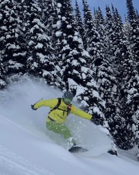 A machine vision tool for facilitating the optimization of large-area ...