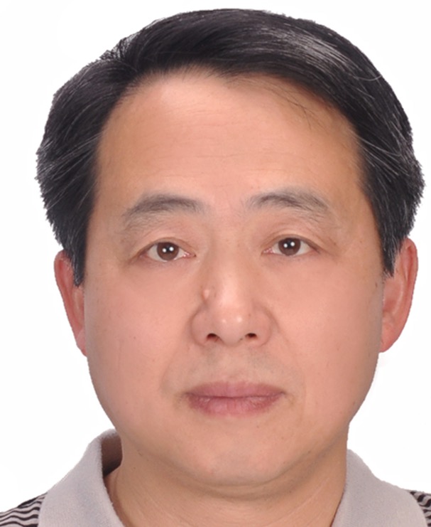 Evolution of the shape and microstructure of body-centered cubic seeds ...