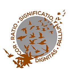 Upper arm movements in the last days of life: A new possible sign of ...