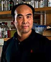 Exploring the effects of gene dosage on mandible shape in mice as a ...