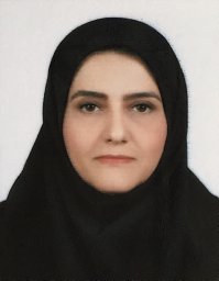 Antibacterial Performance of Curcumin Loaded Polycyclodextrin-Coated ...