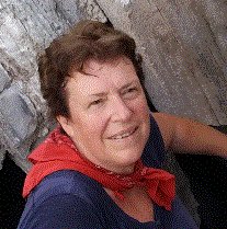 Population dynamics of modern planktonic foraminifera in the western ...