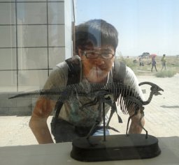 Can Lead-Free Double Halide Perovskites Serve as Proper Photovoltaic ...