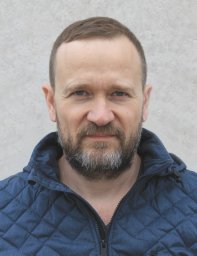 A new class of polyphenolic carbosilane dendrimers binds human serum ...