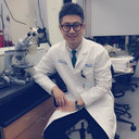 Biofunctionalized chondrogenic shape-memory ternary scaffolds for ...