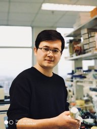 An engineered prime editor with enhanced editing efficiency in plants ...