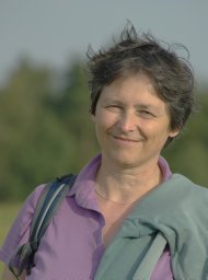 The fingerprint of tropospheric ozone on broadleaved forest vegetation ...