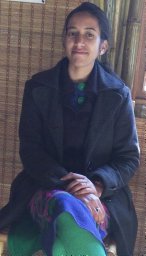 Development of transgenic tea plants from leaf explants by the ...