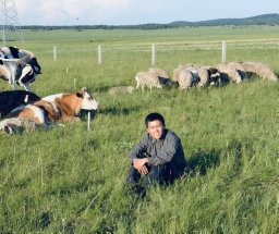 Simplified estimates of soil nematode body mass using maximum diameter ...