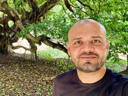 Scaling of stem diameter and height allometry in 14 neotropical palm ...