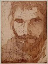 Morphological complexity promotes origination and extinction rates in ...