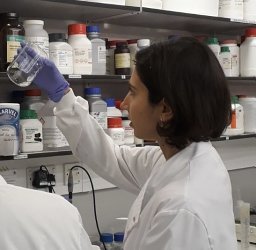 Coexpression network architecture reveals the brain-wide and ...