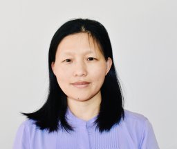 Alternative healthcare delivery arrangements in Nepal: a systematic ...