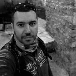 Coordinated activation of both TGFβ and BMP canonical pathways ...