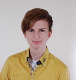 Study of Magnetic Properties, Structural and Morphological ...