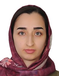 A comprehensive review of data envelopment analysis (DEA) methodology ...