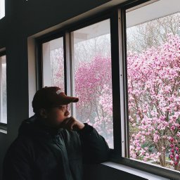 Non-invasive and fully two-dimensional quantitative visualization of ...