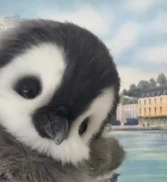 Collision-Free Trajectory Optimization in Cluttered Environments with ...