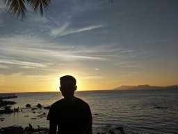 Ionic substitution effects on the structure-property relationship of ...