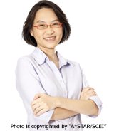 Chiral Phonons and Giant Magneto‐Optical Effect in CrBr 3 2D Magnet ...