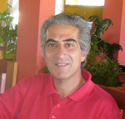 Timing and spatial patterning of seed dispersal and redistribution in a ...