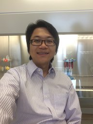 Protein arginine methyltransferase 4 modulates nitric oxide synthase ...