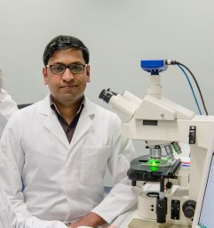 Development of novel PEX5-PEX14 protein-protein interaction (PPI ...