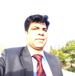 Plant phenolics with promising therapeutic applications against skin ...