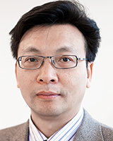 Hydrangea paniculata coumarins alleviate adriamycin-induced renal ...