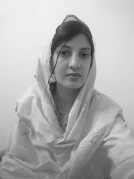 A Facile Construction of Plasmonic Ag-Decorated Bi2o3/Laponite ...