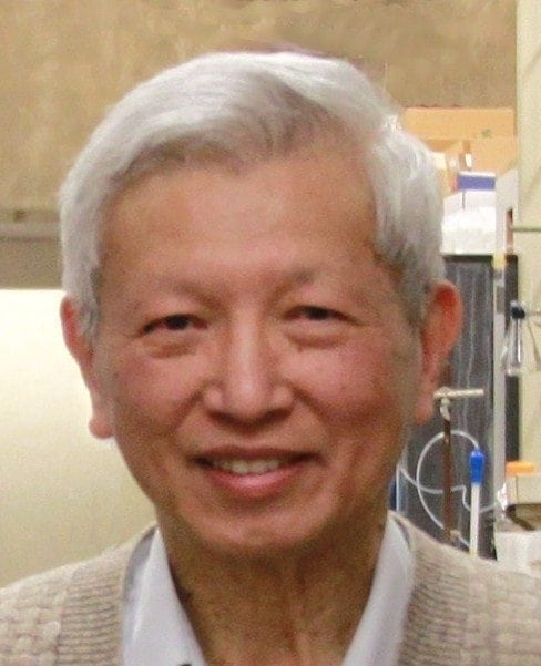 Synthesis of α-1,2- and α-1,3-linked di-rhamnolipids for biological ...