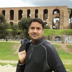 World City Networks and Multinational Firms: An Analysis of Economic ...