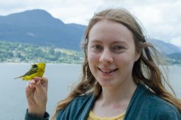 Phylogeography of the Red‐Headed Manakin Supports the River‐Refuge ...