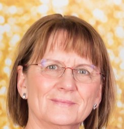 Synergic use of in-situ and remote sensing techniques for comprehensive ...