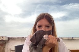 Impact of tokenization on financial investments: Exploring ...