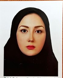 Antibacterial Performance of Curcumin Loaded Polycyclodextrin-Coated ...