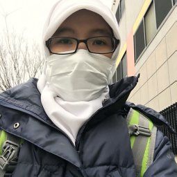 Therapeutic effect of vitamin D3-containing nanostructured lipid ...