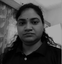 In vitro genotoxicity assessment of nickel(II) oxide nanoparticles on ...