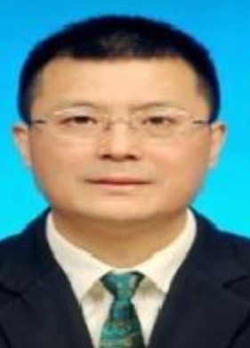 Evaluation of wide-range coal combustion performance of a novel down ...