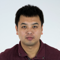 Nanometre-resolution three-dimensional tomographic and vectorial near ...