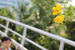 Artificial Q‐Grader: Machine Learning‐Enabled Intelligent Olfactory and ...