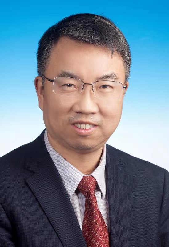 Fast differential interference contrast imaging combined with ...