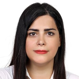 Pricing electricity from blue hydrogen to mitigate the energy rebound ...